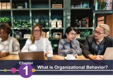 Chapter 1: What Is Organizational Behavior? – Organizational Behaviour