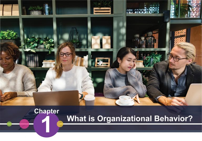 Chapter 1: What Is Organizational Behavior? – Organizational Behaviour